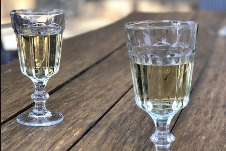 Brinjevec se uporablja kot zdravilo – Luninportal.si